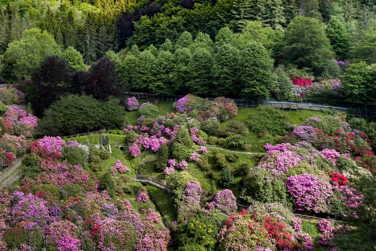 Giro del Marguareis, alla scoperta del Carso piemontese | Visit Piemonte
