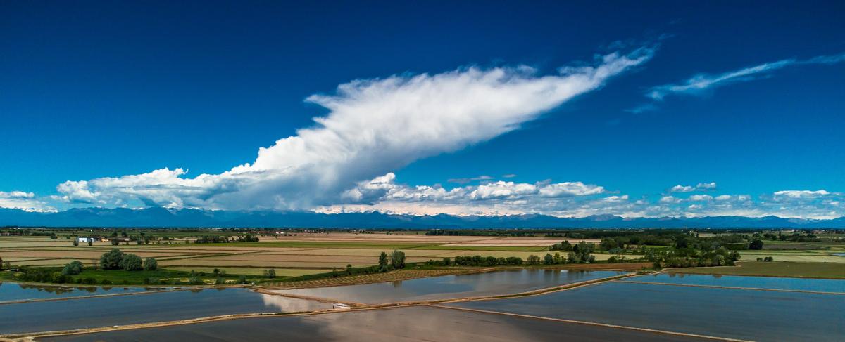 Novara, a Baroque gem surrounded by plains and rice fields | Visit Piemonte