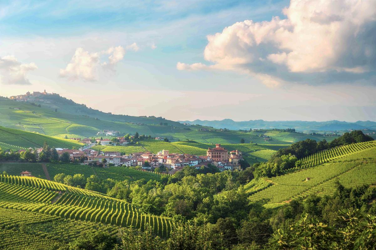 Golf Colline del Gavi | Visit Piemonte