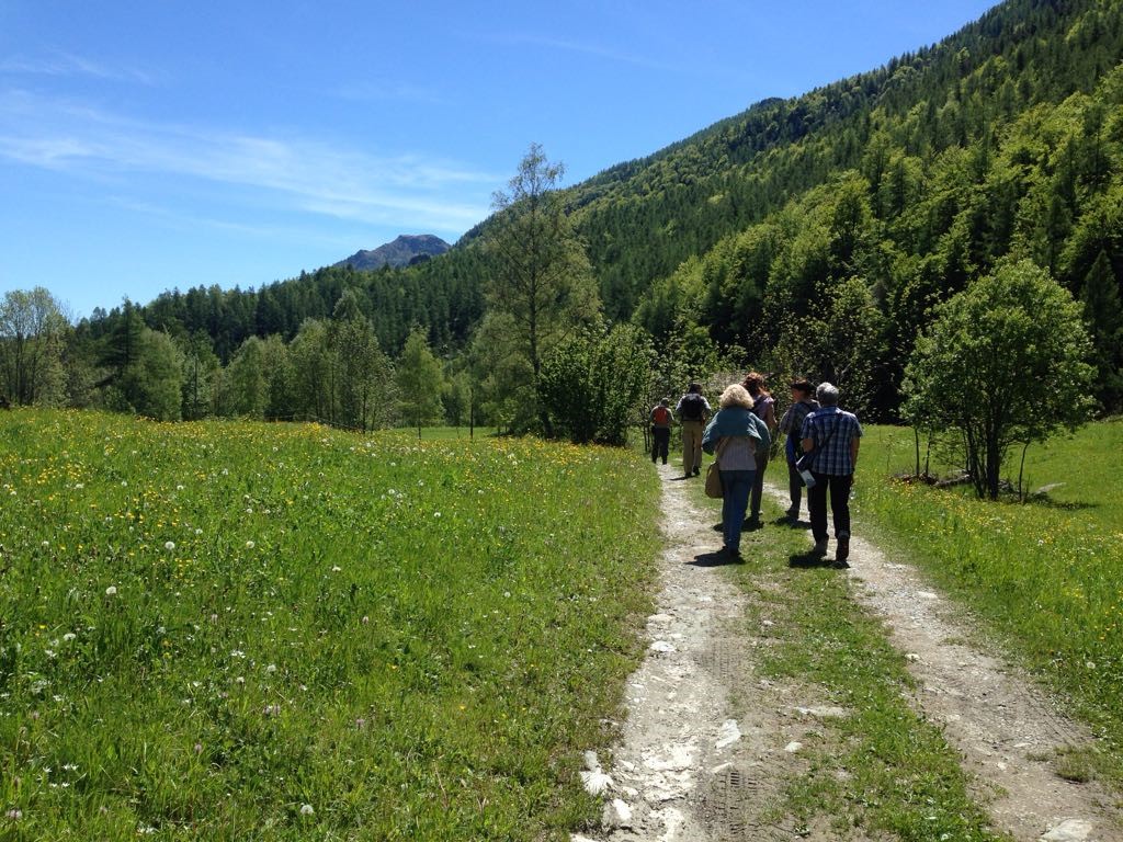 Sport and Nature in Balme | Visit Piemonte