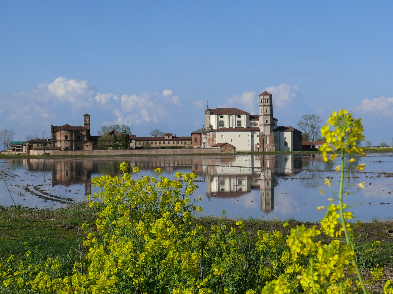 Trino, il mare a quadretti | Visit Piemonte