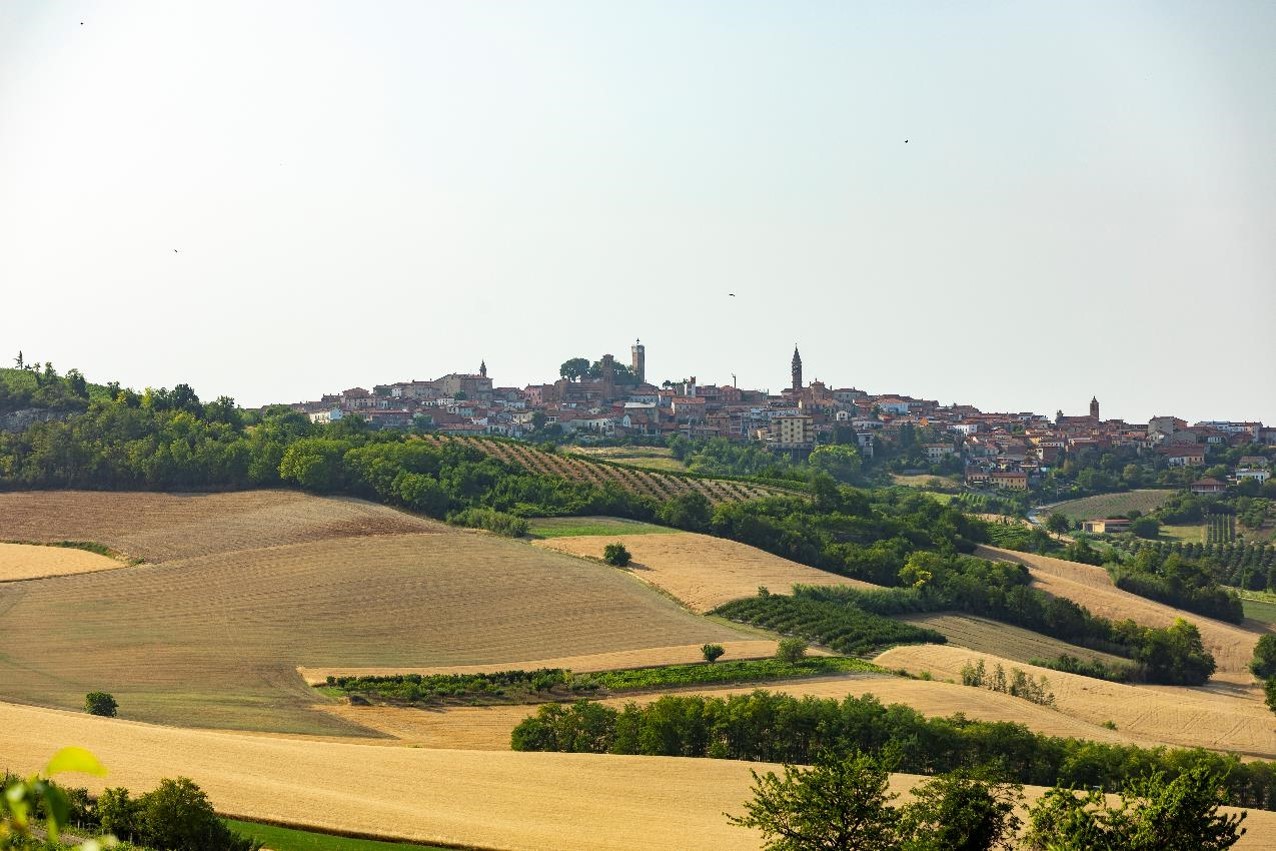 Casale Monferrato, in bici tra pianura e colline | Visit Piemonte