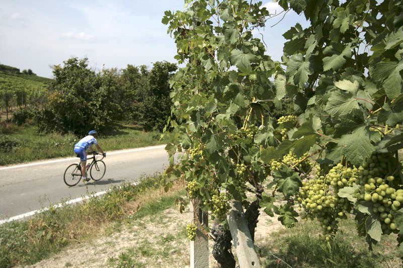 Roero Experience | Visit Piemonte