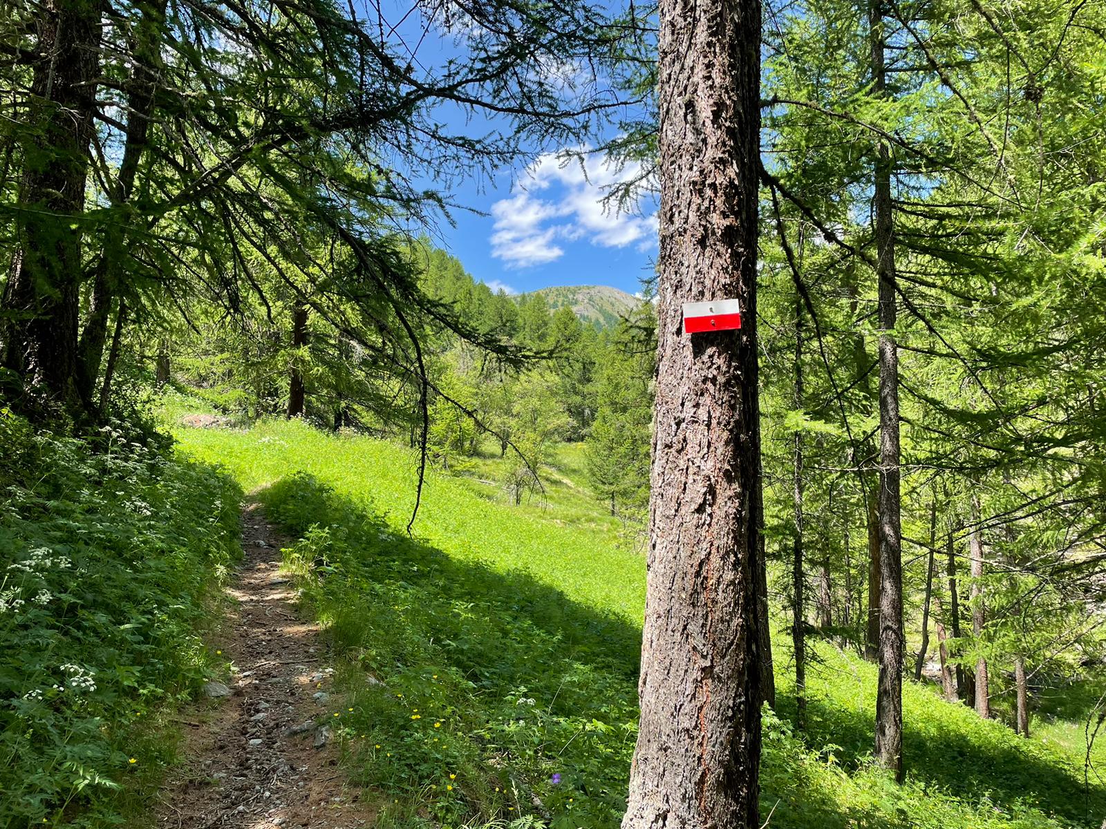 Vie Storiche di Montagna | Sentiero del Plaisentif | Visit Piemonte