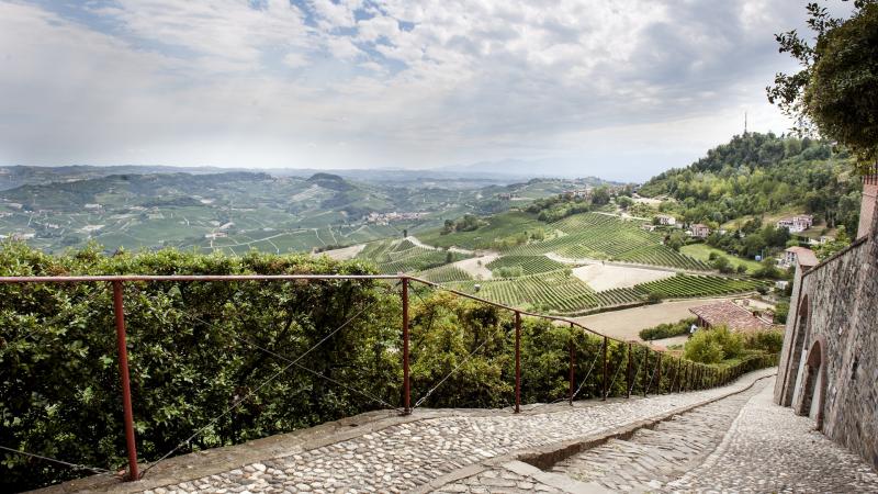 Bar to Bar in mountain bike - Tappa 6 - Monforte d'Alba - Verduno ...