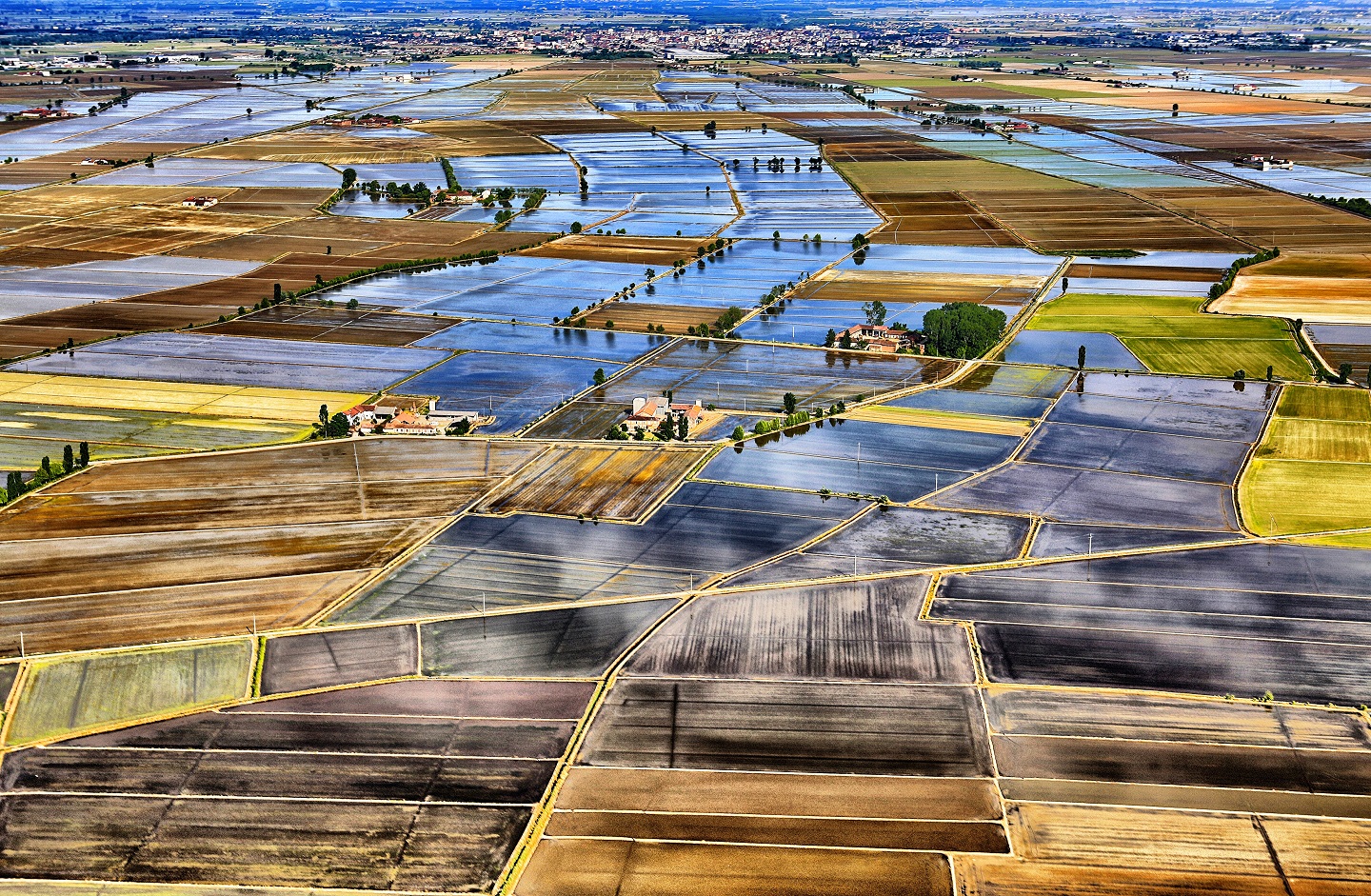 Vercelli, cuore della Via Francigena e capitale delle mondine | Visit ...