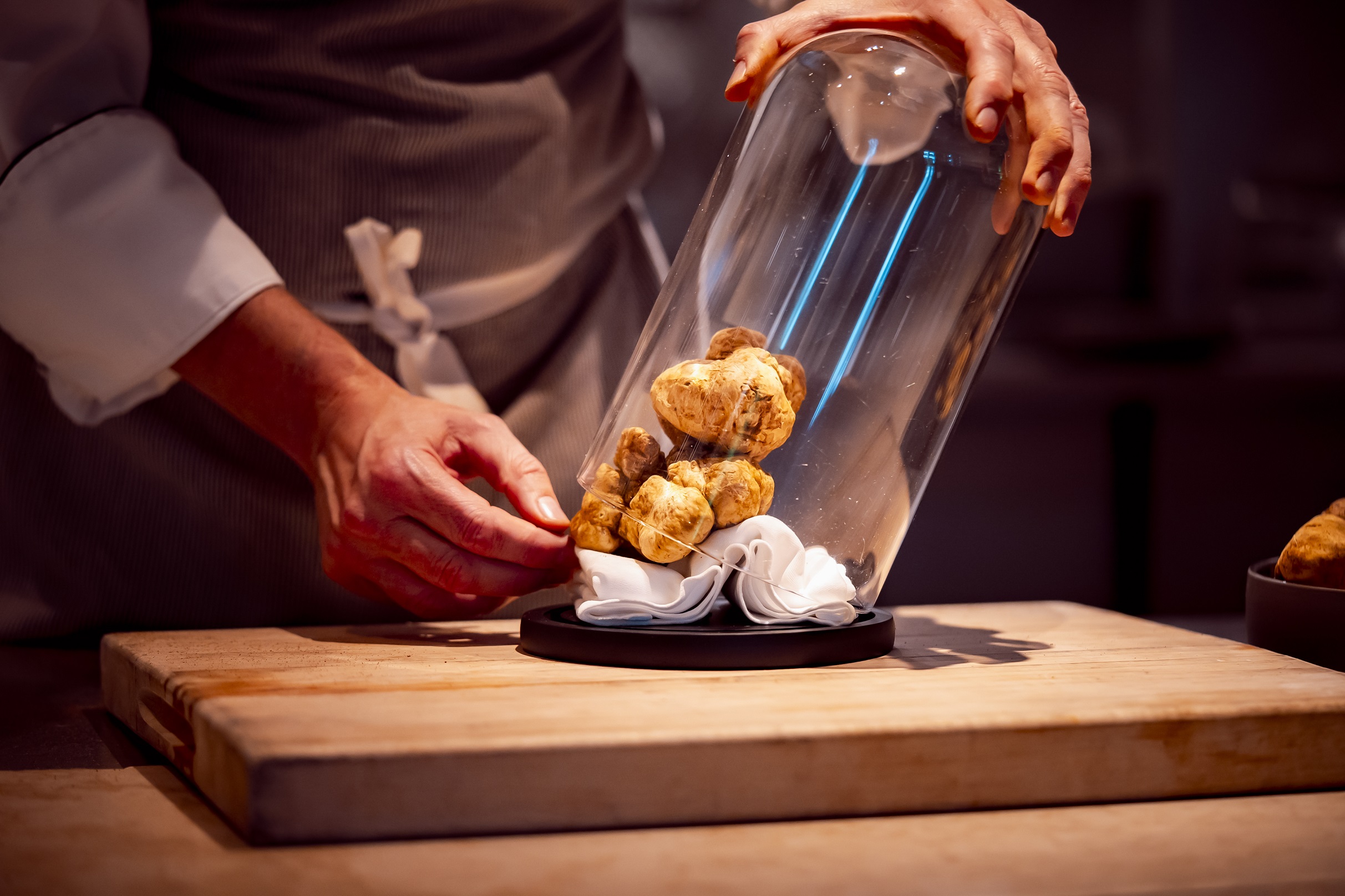 His Majesty the Truffle | Visit Piemonte