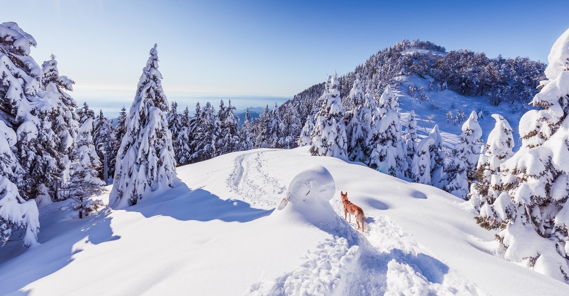 Parchi e riserve naturali | Visit Piemonte