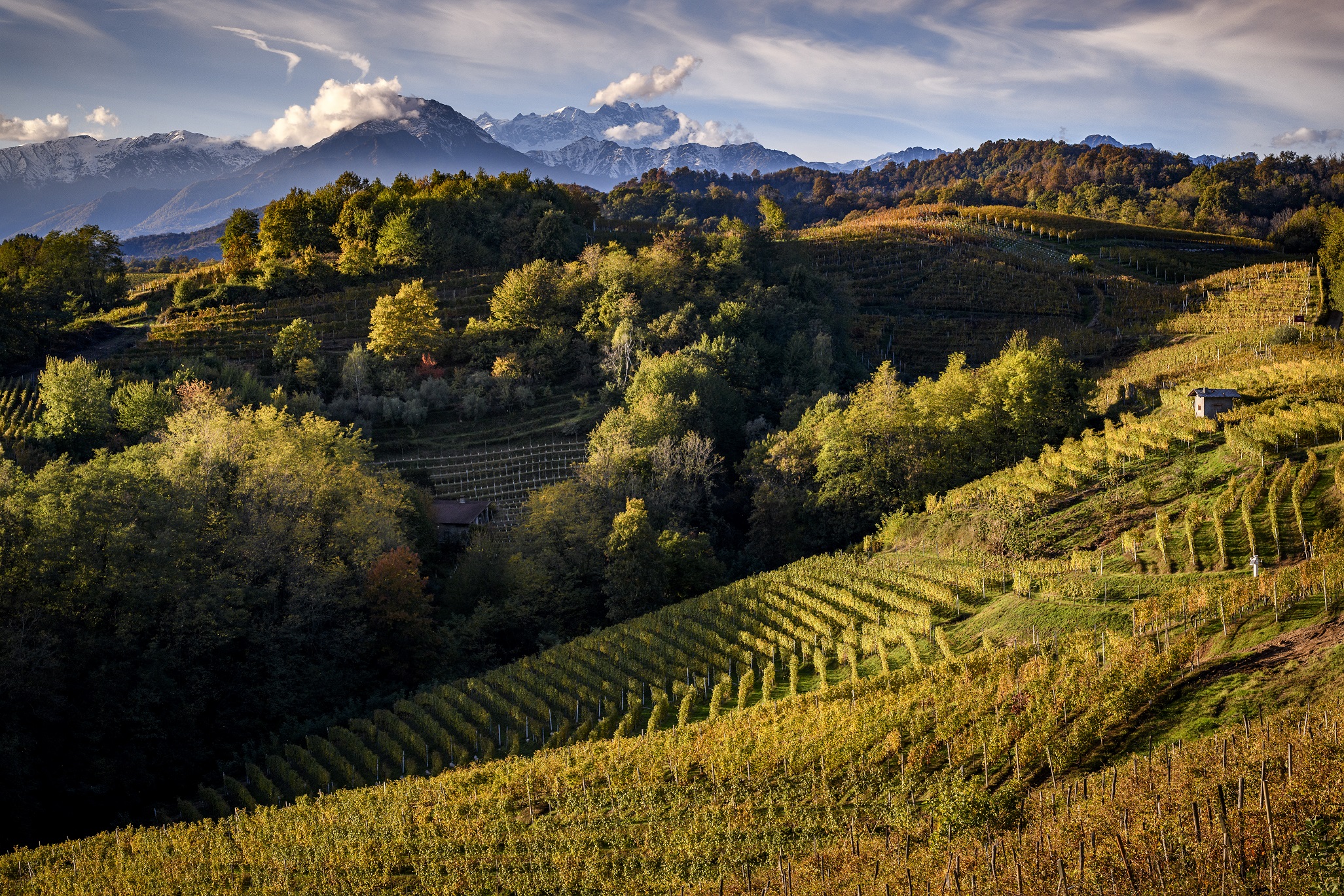Les 20 communes piémontaises "Champions d'Europe" du vin | Visit Piemonte