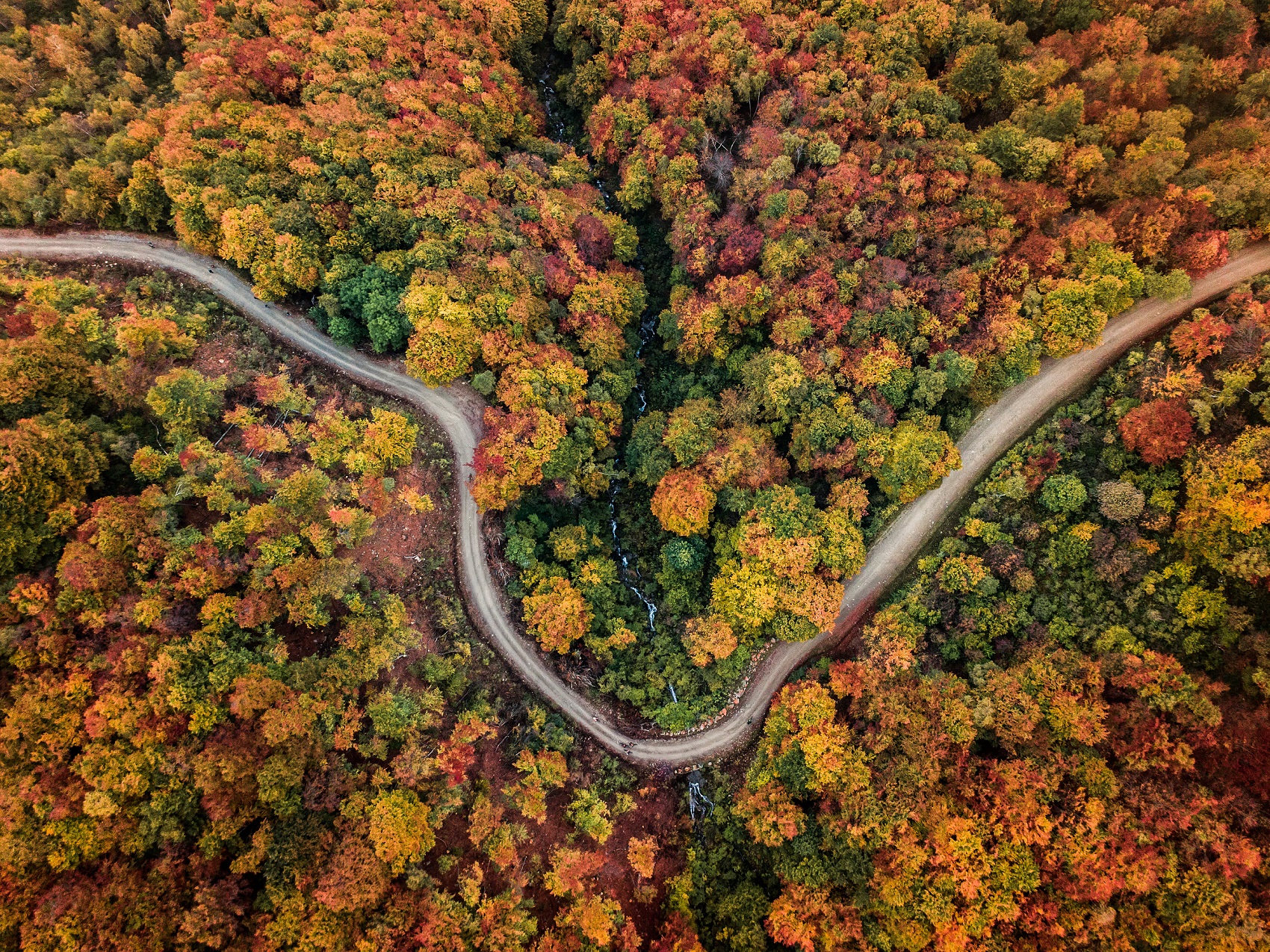 Autunno, tempo di foliage in Piemonte | Visit Piemonte