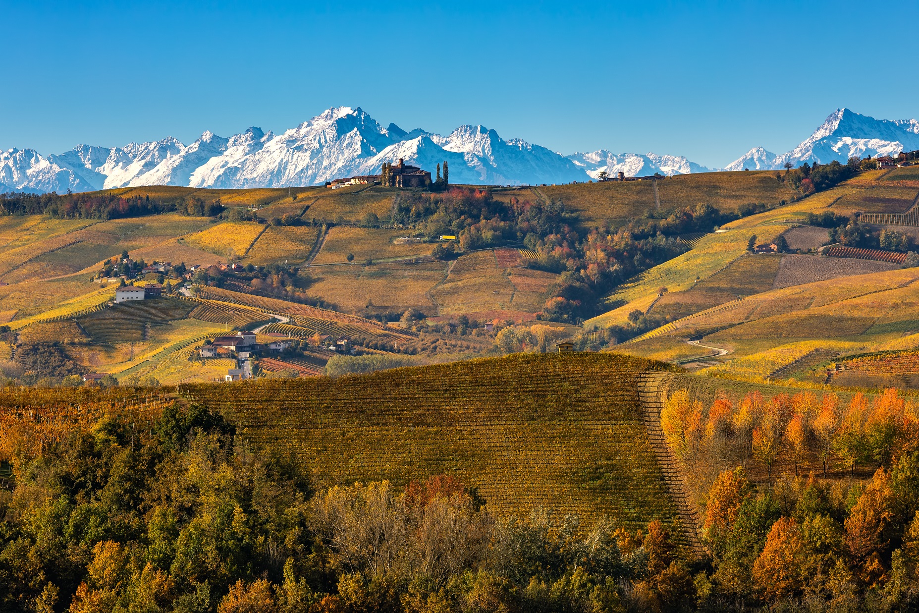 The 10 years of the Wine Landscapes of Piedmont in Langhe-Roero and ...